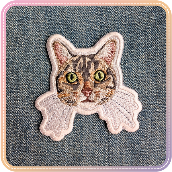 Morgan the Tabby – Skipping Stitches